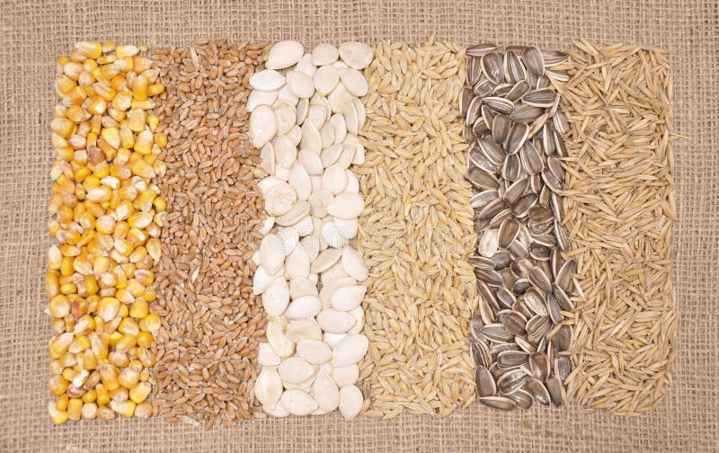 Basic Cereals Mix on Cloth Sack Textile Stock Image - Image of basic ...