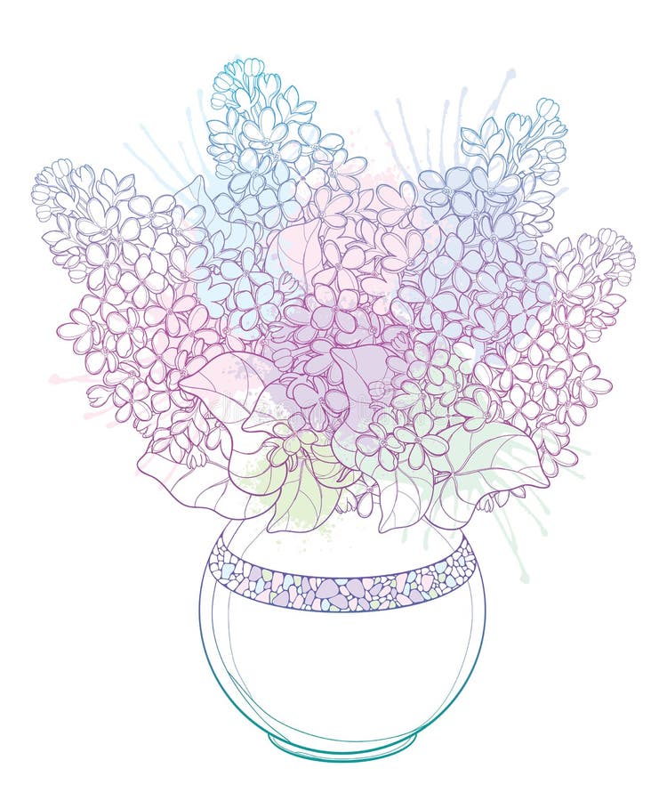 Syringa Flower Stock Illustrations – 487 Syringa Flower Stock ...