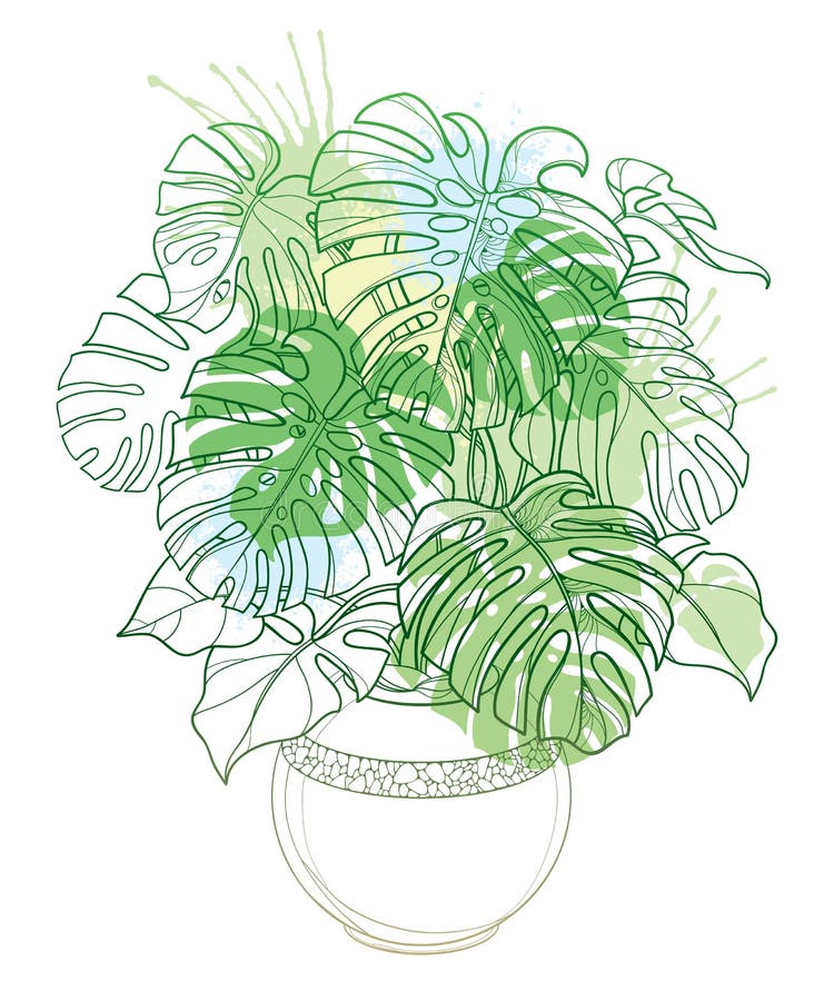 Cheese Leaf Swiss Stock Illustrations – 1,514 Cheese Leaf Swiss Stock ...