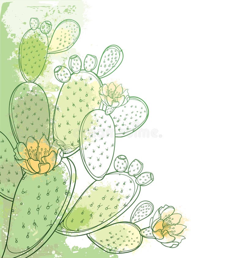 Nopal Stock Illustrations – 555 Nopal Stock Illustrations, Vectors ...