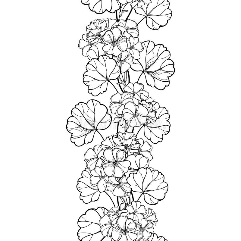 Outline Drawings Of Geraniums