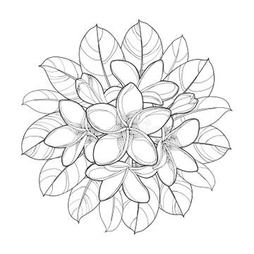 Bali Coloring Stock Illustrations – 340 Bali Coloring Stock ...