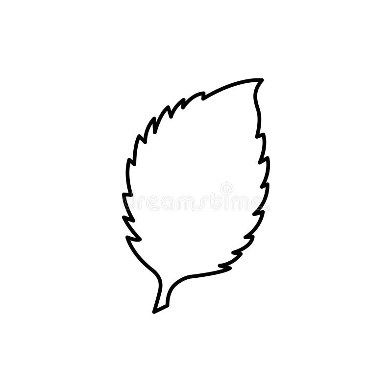 Mint Icon in Outline Style Isolated on White Background. Herb an Spices ...