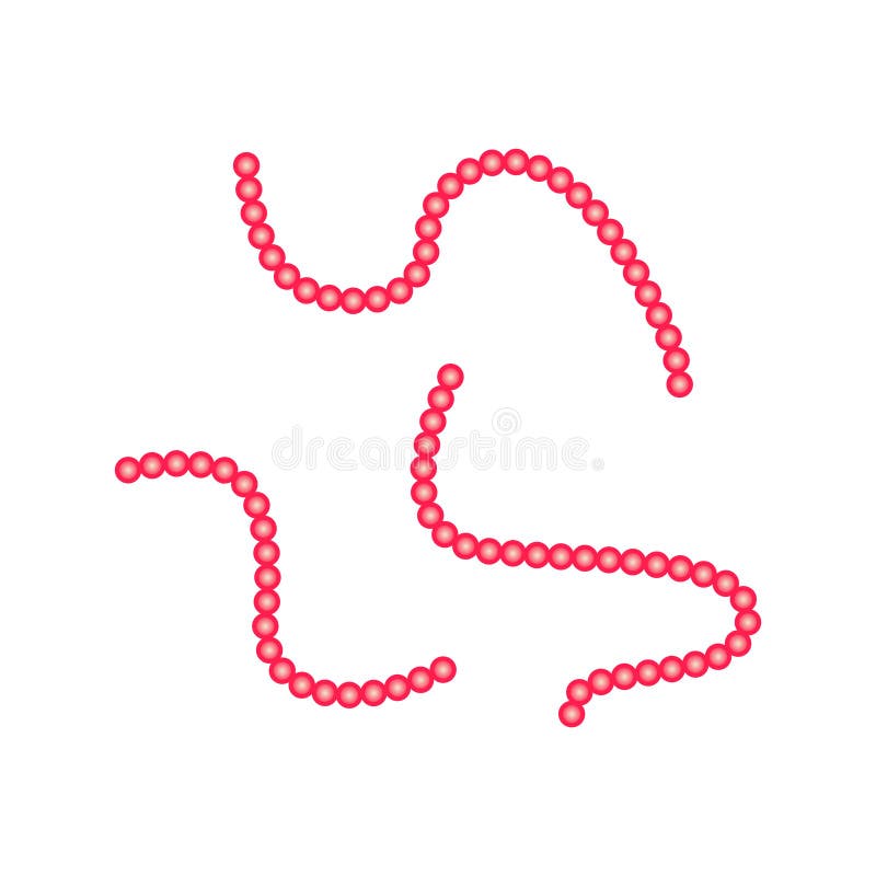 Streptococcus Icon Stock Illustrations – 1,722 Streptococcus Icon Stock ...