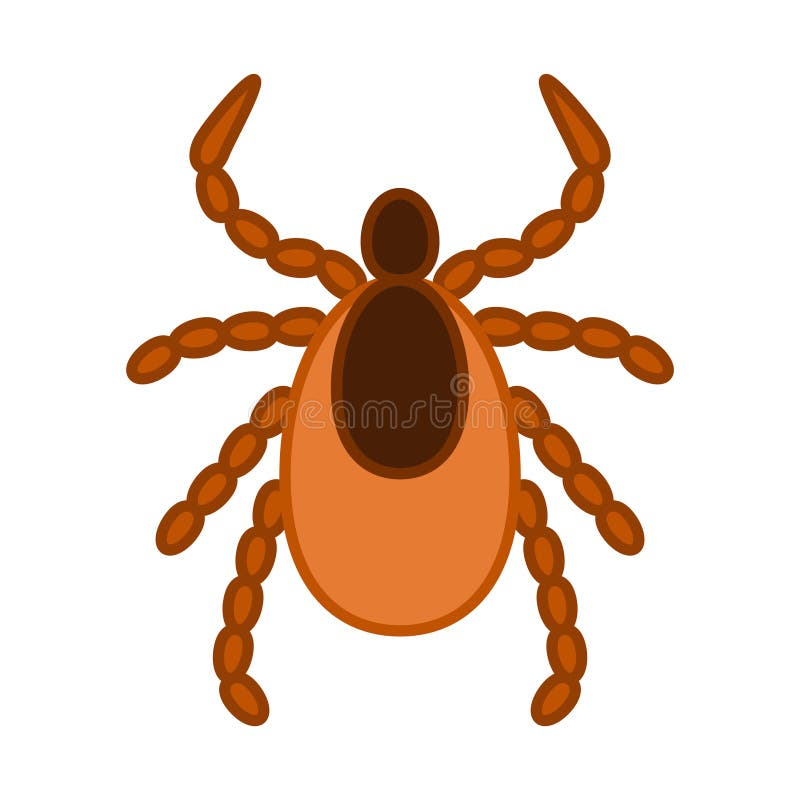Tick Icon Insect Icon, Illustration Stock Vector - Illustration of ...