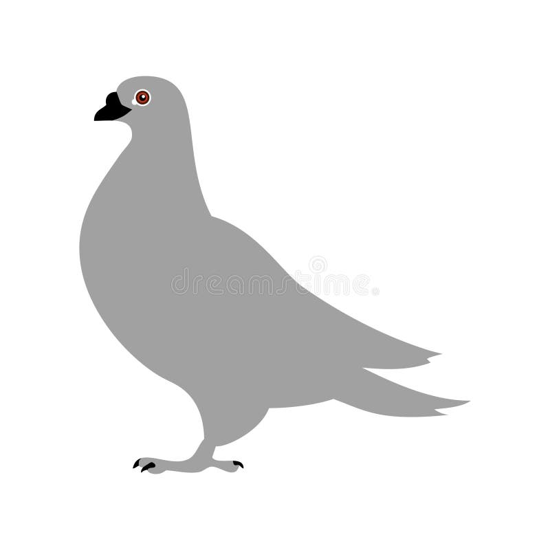Single Squab Stock Illustrations – 19 Single Squab Stock Illustrations ...