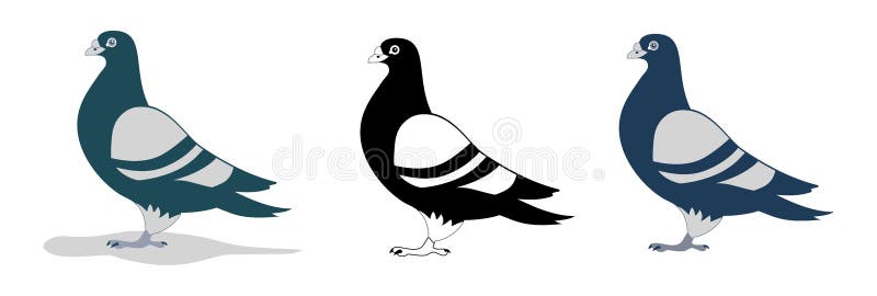 Single Squab Stock Illustrations – 19 Single Squab Stock Illustrations ...