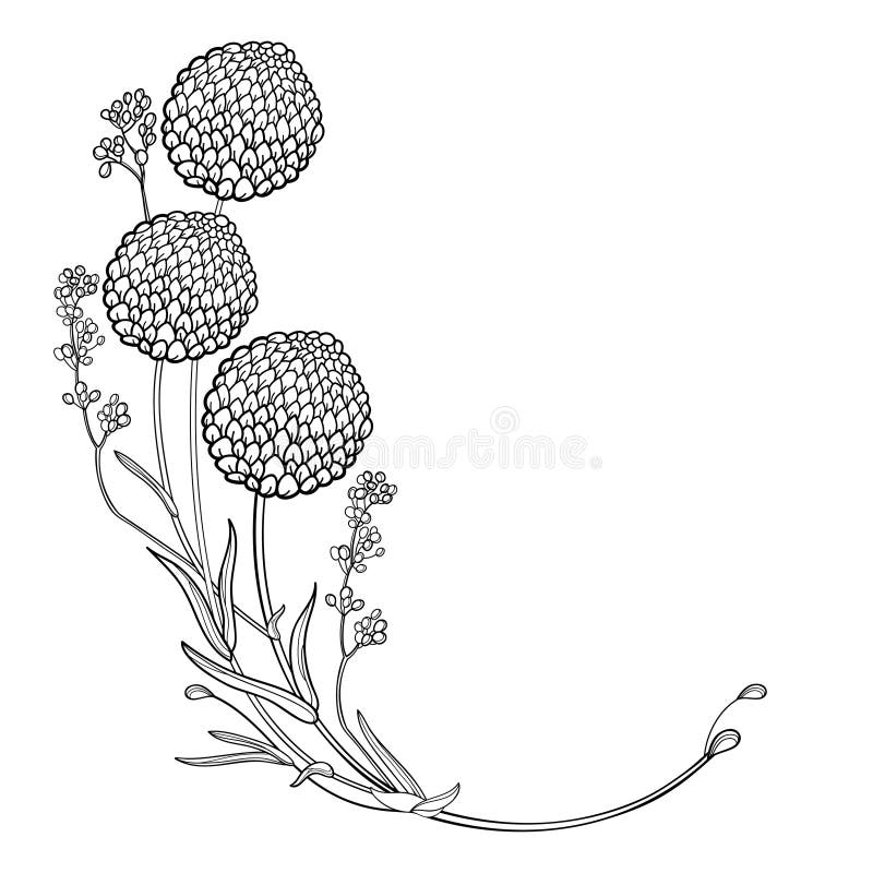 Outline Flower Ball