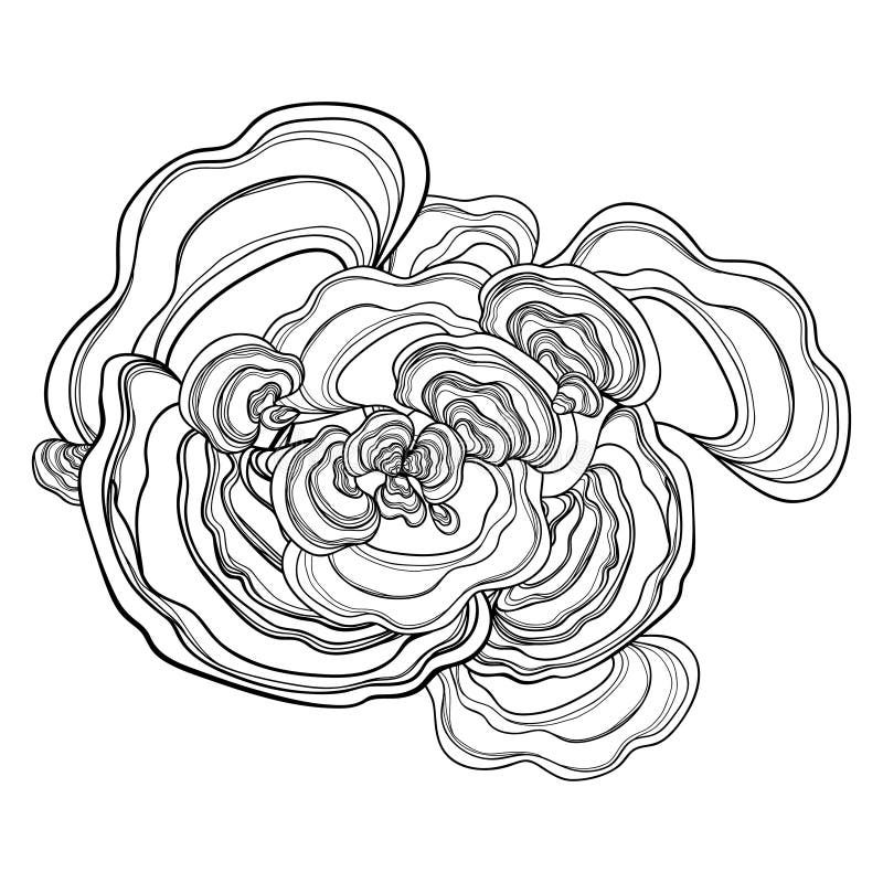 Black White Turkey Stock Illustrations – 19,079 Black White Turkey ...