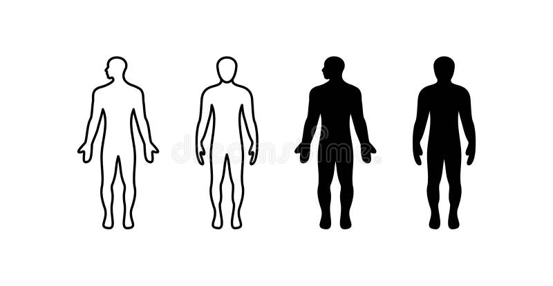 Human Body Line Icon , Vector , Line Color Vector Illustration Stock ...
