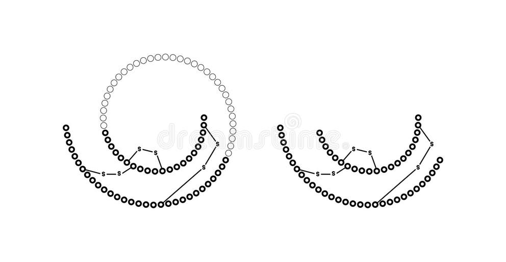 Insulin Structure Icon , Line Color Vector Illustration Stock Vector ...