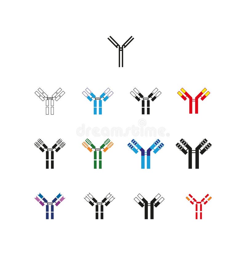 Antibody Icon. Types of Antibodies and Immunoglobulin Structures Stock ...