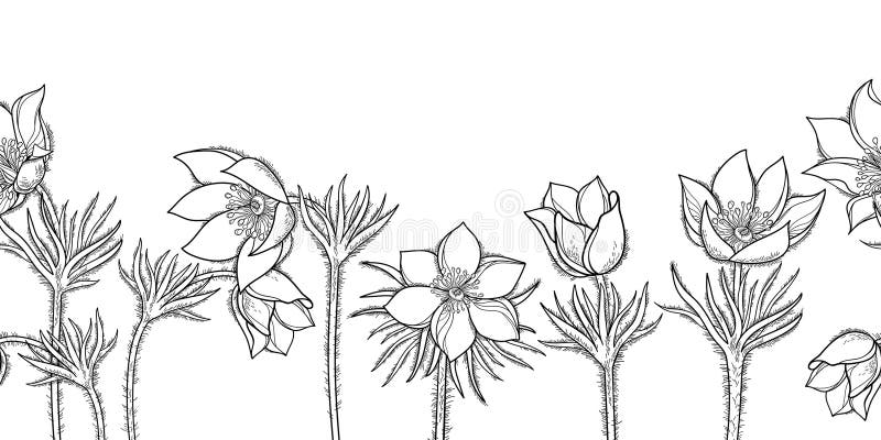 Prairie Graphic Black White Wild West Desert Landscape Sketch ...