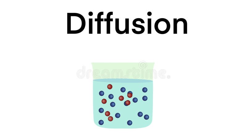 Diffusion is Movement of Molecules and Atoms from a Region of Higher ...