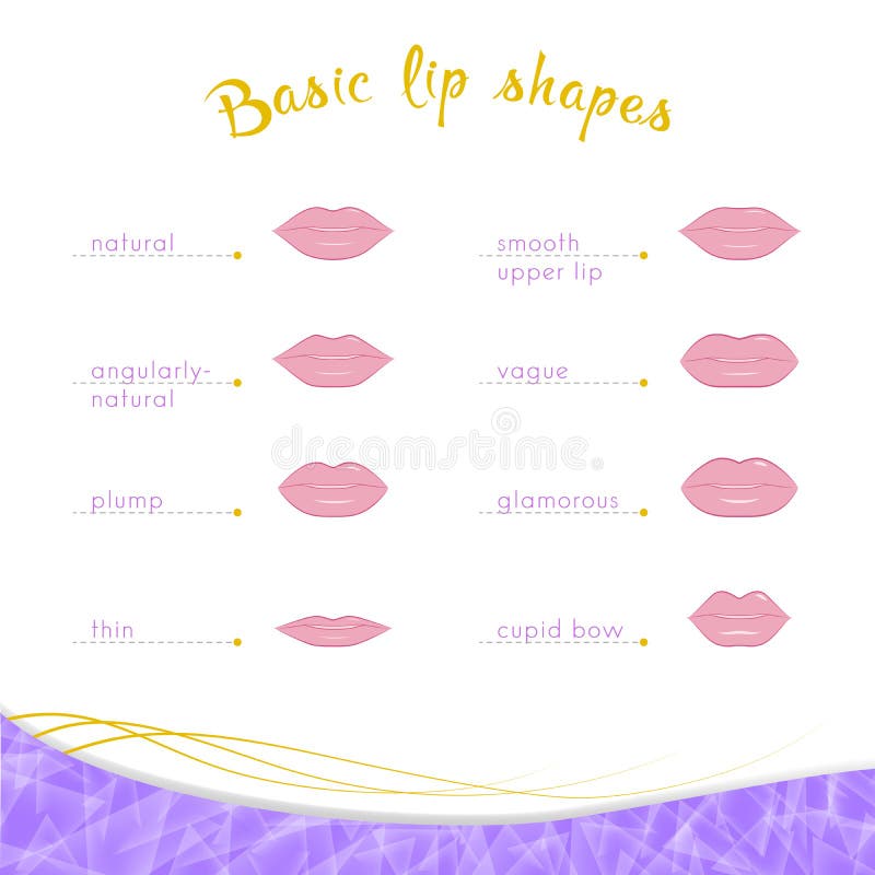 Lip Shape Chart