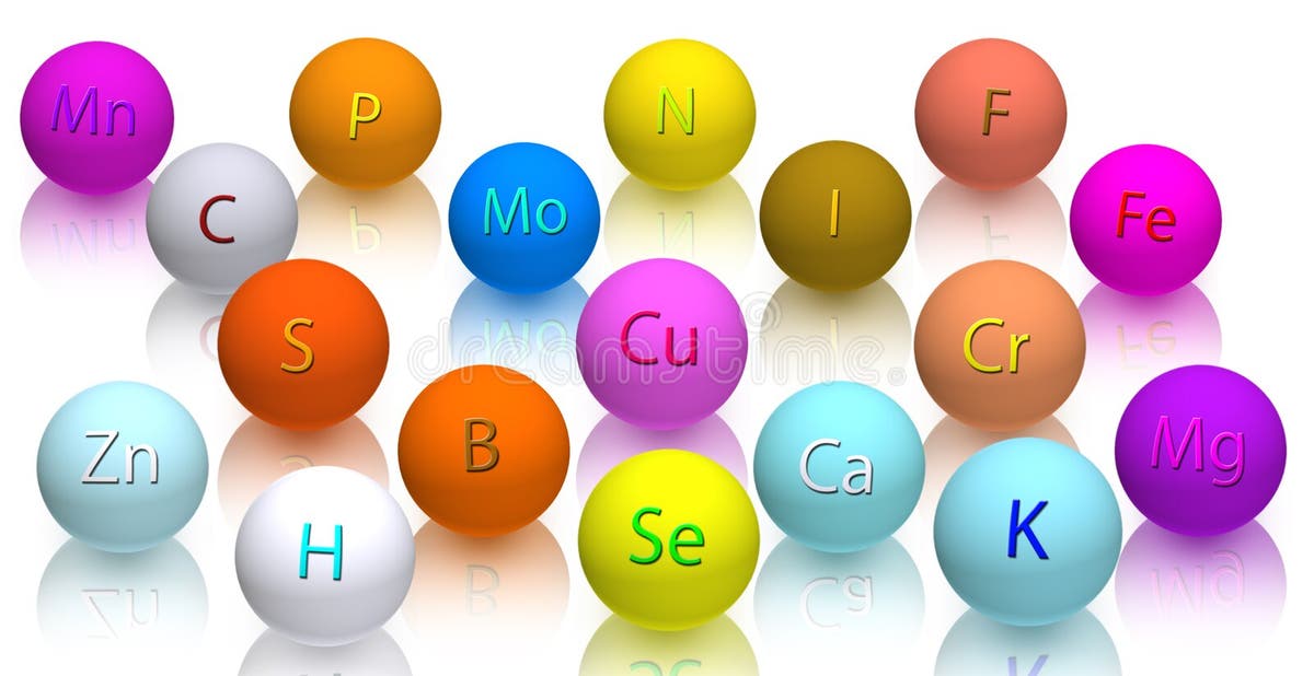 Micro Nutrients Stock Illustrations – 211 Micro Nutrients Stock ...