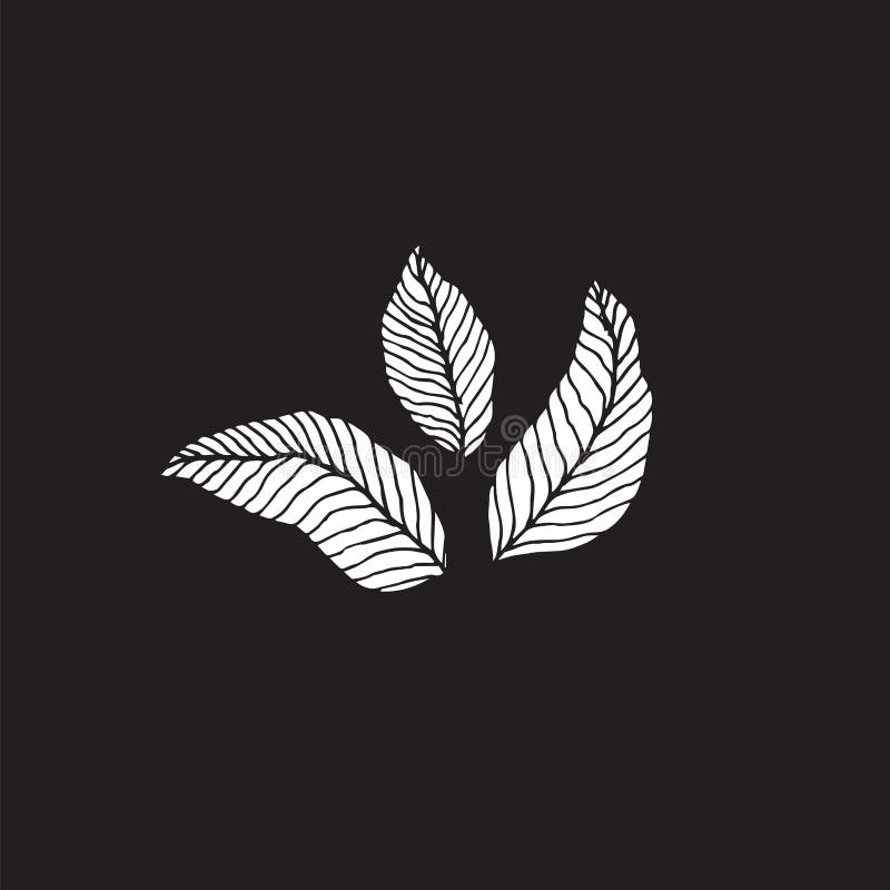 The Basic Minimalistic Form of Botanical Leaves without Decoration ...