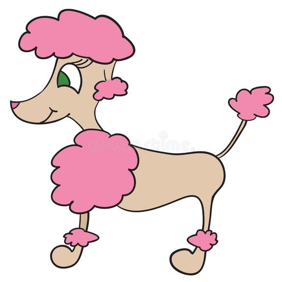 Basic Poodle (basic Colour) Stock Illustration - Illustration of nikita ...