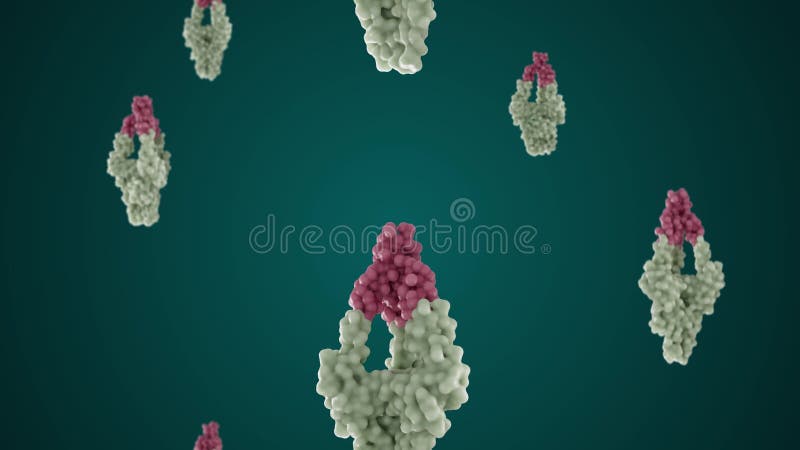 Basic Protein Molecules in Continuous Rotation Looped 4K Stock Video ...