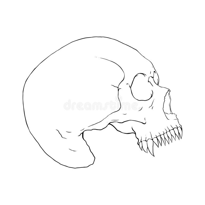 The Dark Fang Skull, Illustration Vector Stock Illustration ...