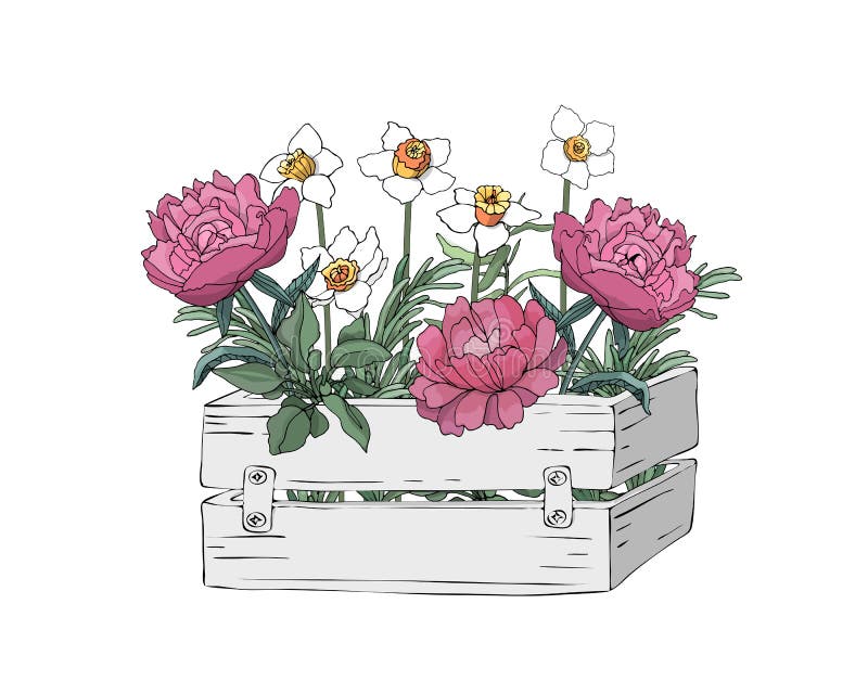 Garden Wooden Box with Herbs and Flowers. Stock Vector - Illustration ...