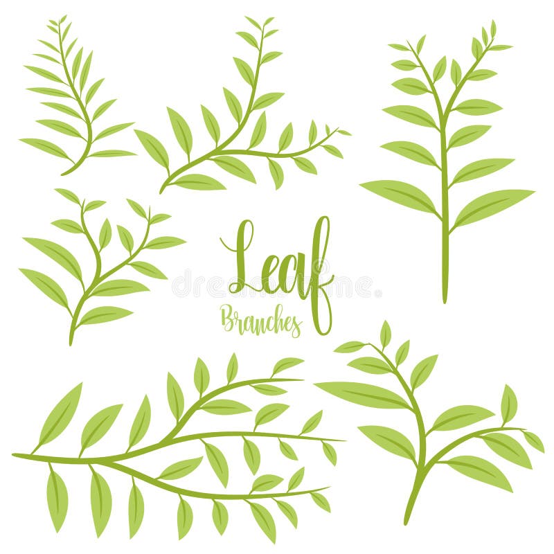 Leaf Branches Vector Design Illustration Isolated on White Background ...