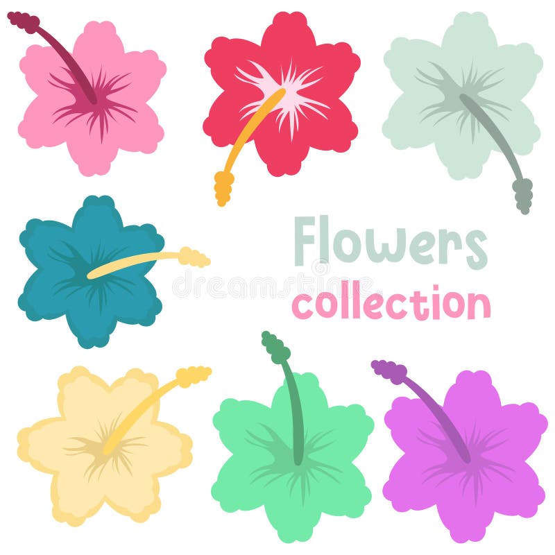 Beautiful Collection Pack of Different Floral Designs Stock Vector ...