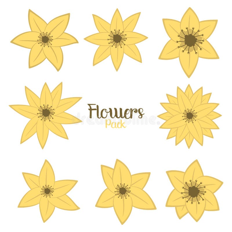 Beautiful Collection Pack of Different Floral Designs Stock Vector ...