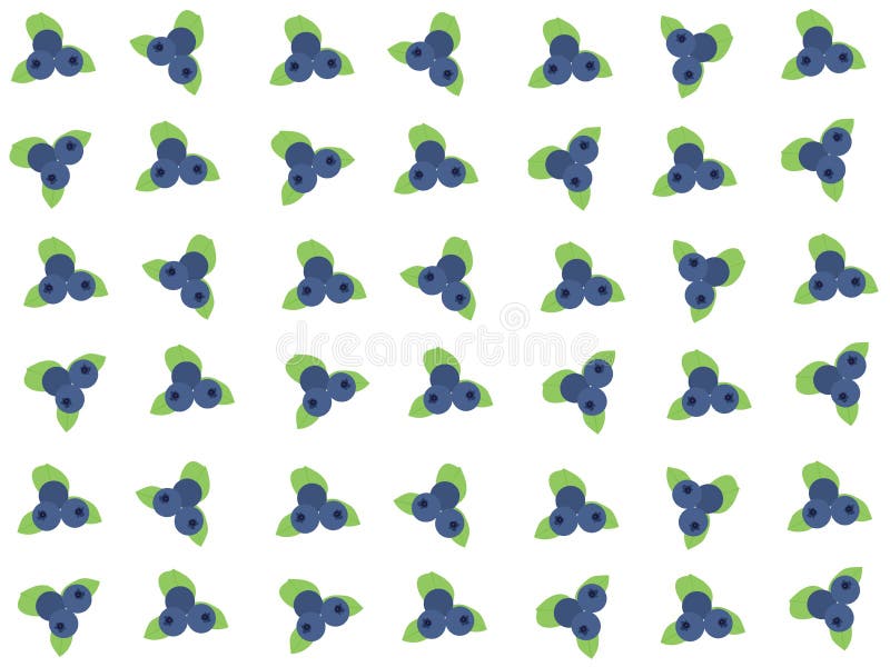 Blueberry Vector Icons Set on White Background Stock Illustration ...