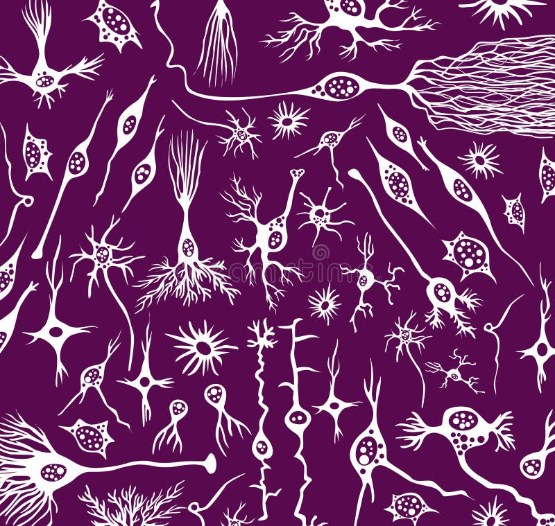 Neuroscience Illustration Showing Different Brain Cell Types. Stock ...