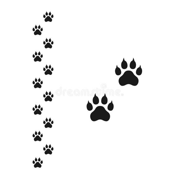 Dog Paw with Claws and Footpath Track Vector Print Mar Stock Vector ...