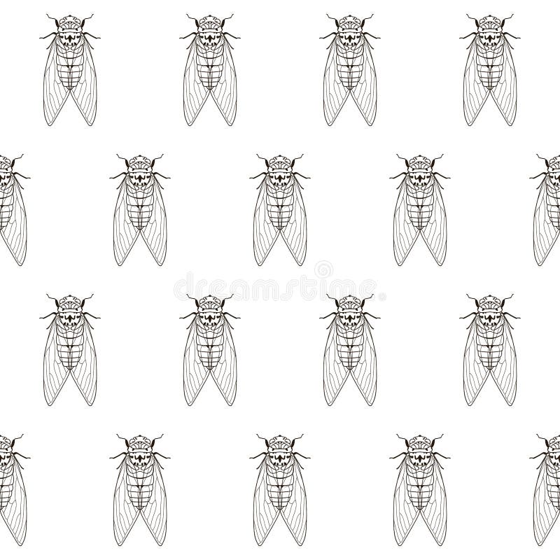 Seamless Pattern with Exotic Cicada Flies. Stock Vector - Illustration ...