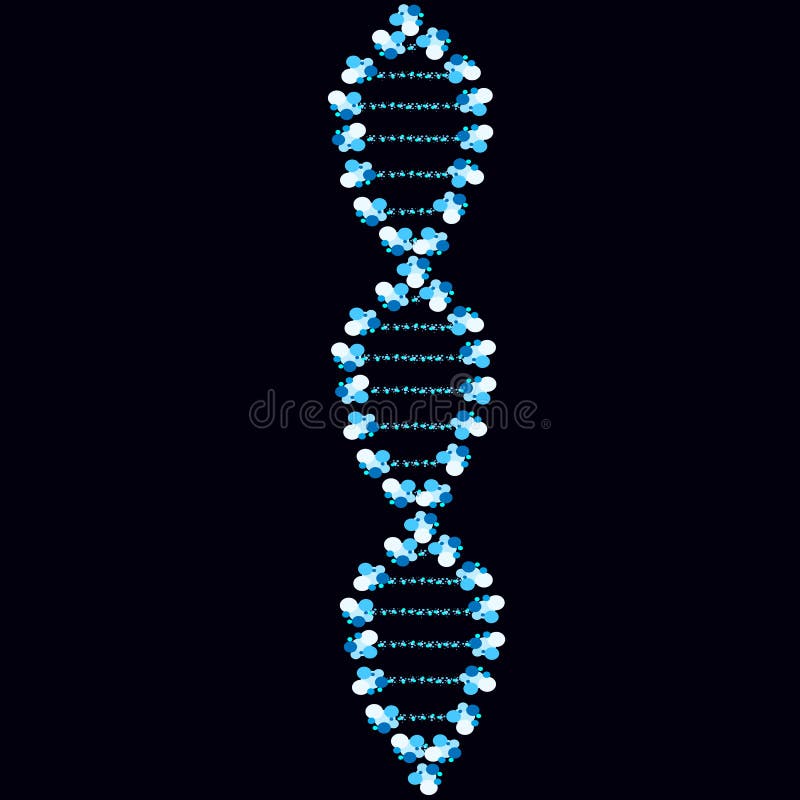 DNA Molecule, Vector Graphics Stock Illustration - Illustration of ...
