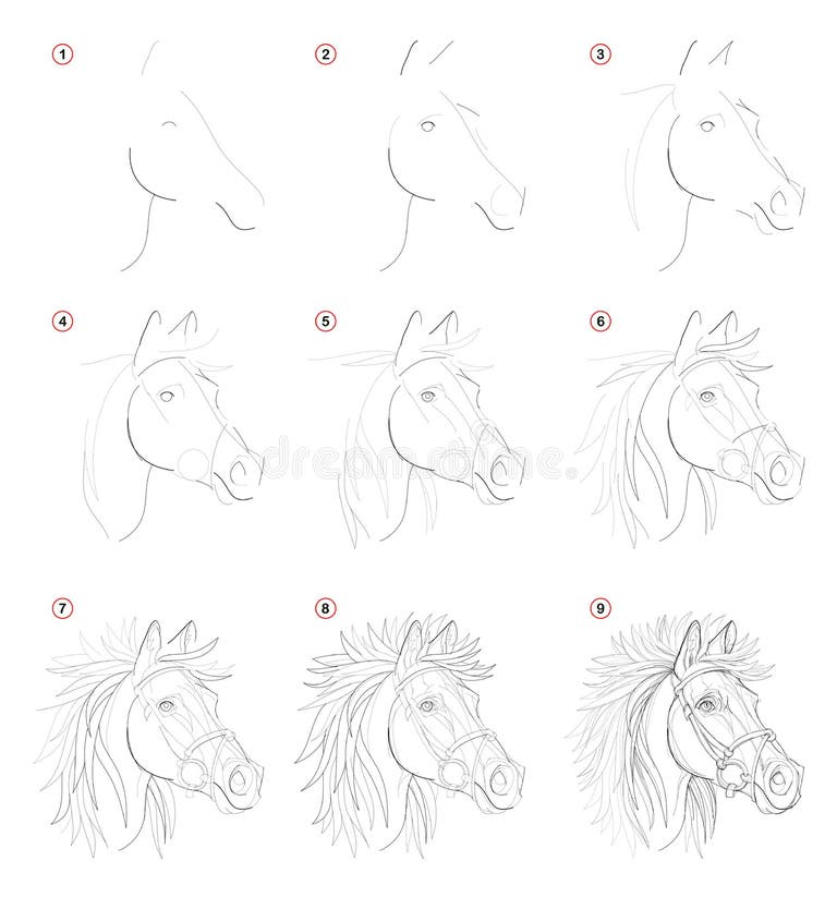 Learn To Draw Step Step Stock Illustrations 1176 Learn To Draw Step Step Stock Illustrations