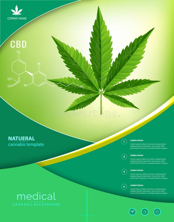 Cannabis or Marijuana Medical Brochure Design. Stock Vector ...
