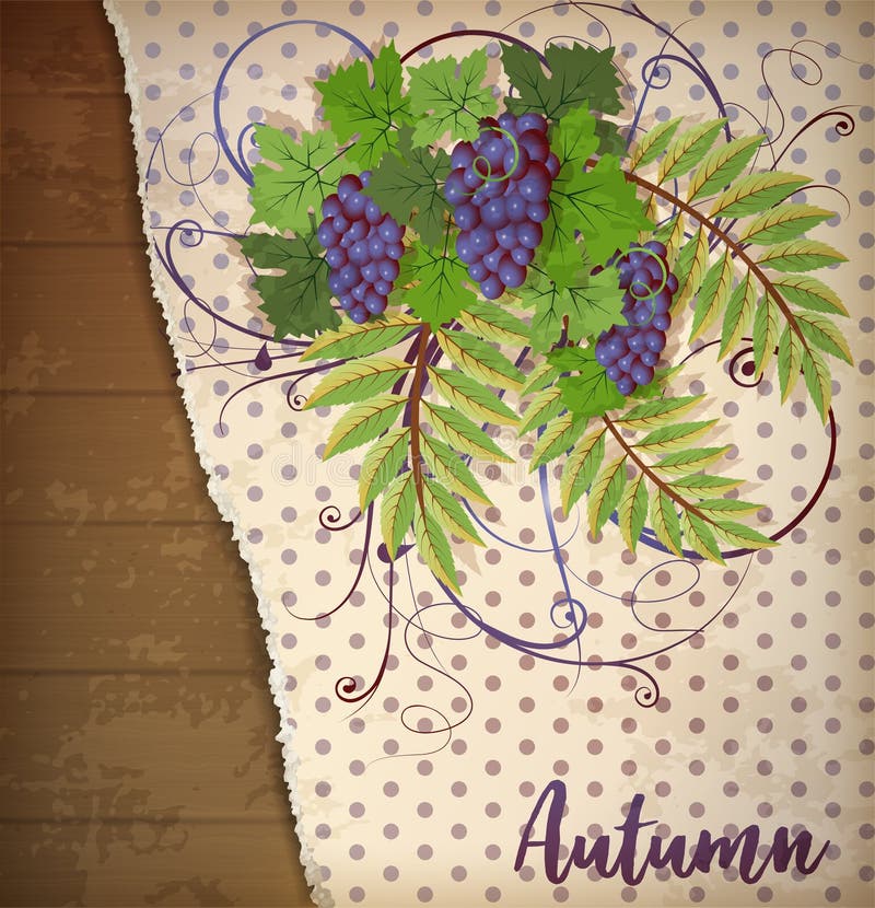 Autumn Invitation Card with Grape, Vector Stock Vector - Illustration ...