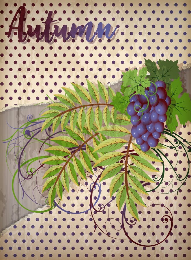 Autumn Invitation Banner with Grape, Vector Stock Vector - Illustration ...
