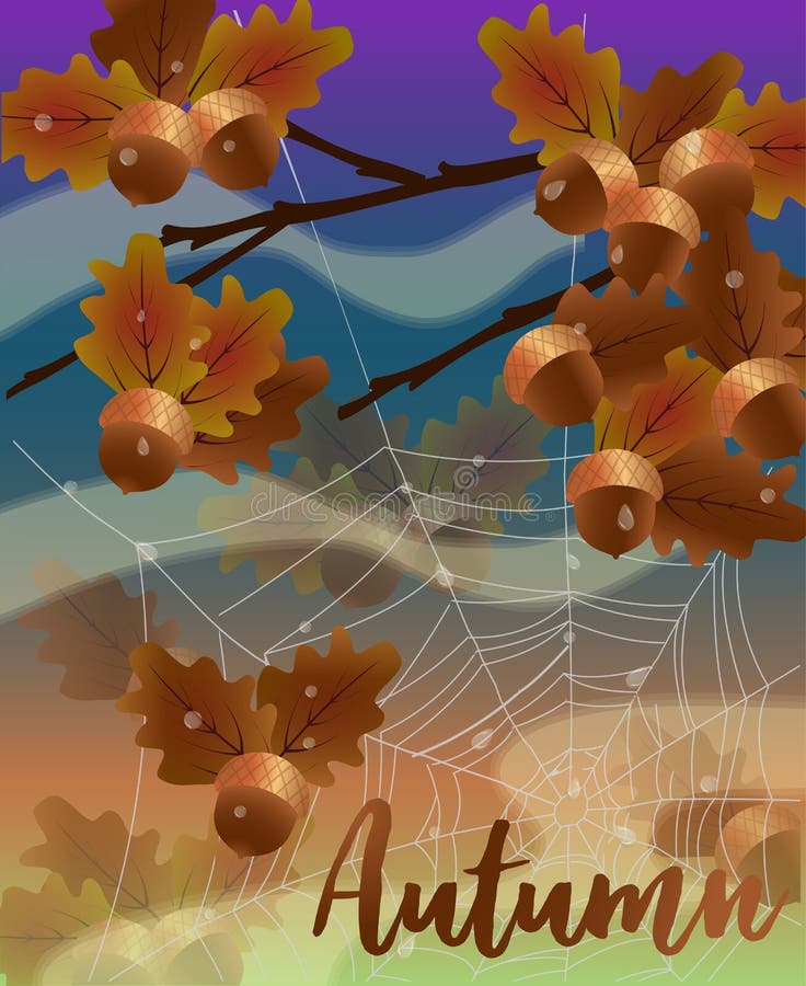 Autumn Nature Wallpaper with Rowan Berries and Spider Web, Vector Stock ...