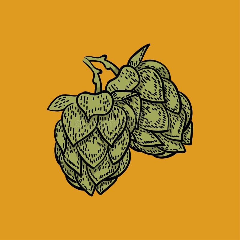 Sugar Apple Tree Vintage Stock Illustrations – 10 Sugar Apple Tree ...