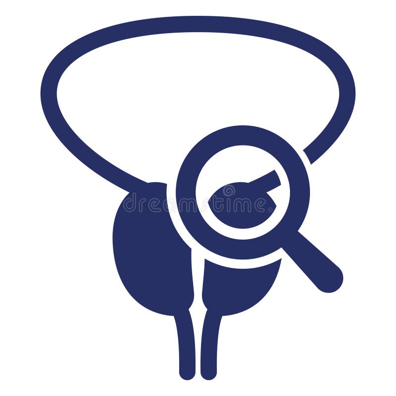 Prostate Isolated Vector Icon that Can Be Easily Modified or Edit Stock ...