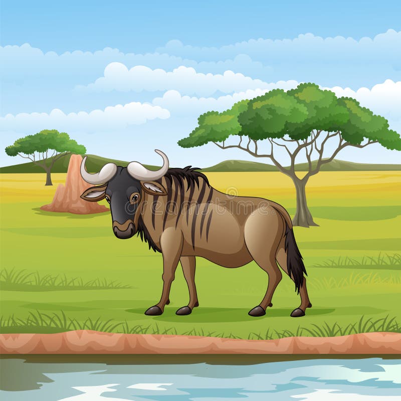 Wildebeest Stock Illustrations – 1,336 Wildebeest Stock Illustrations ...
