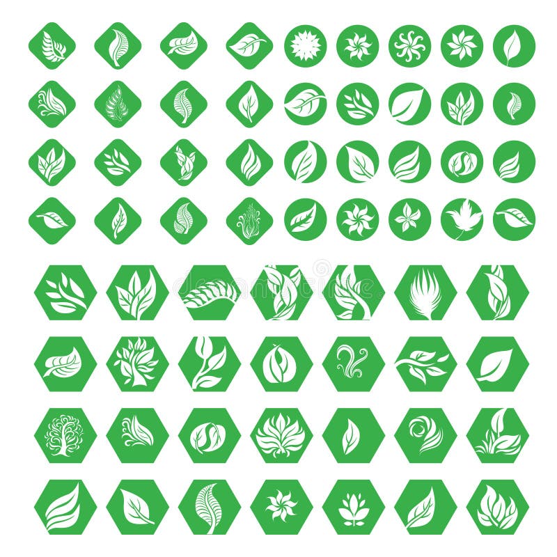 Set of green icons stock vector. Illustration of fresh - 173112934