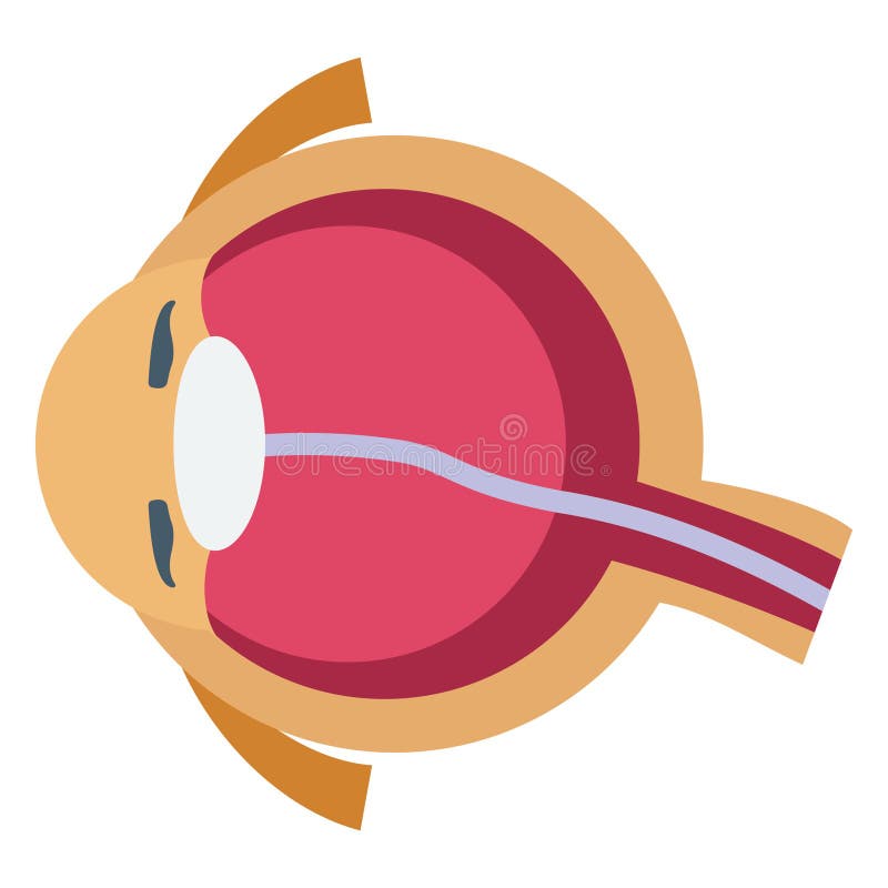 Basic RGB Eye, Eyeball Vector Illustration Icon Which Can Easily Modify ...