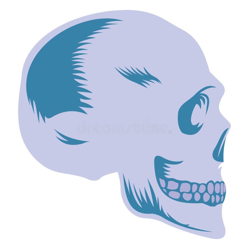 Basic RGB Human Skull, Skull Skeleton Vector Illustration Icon Which ...