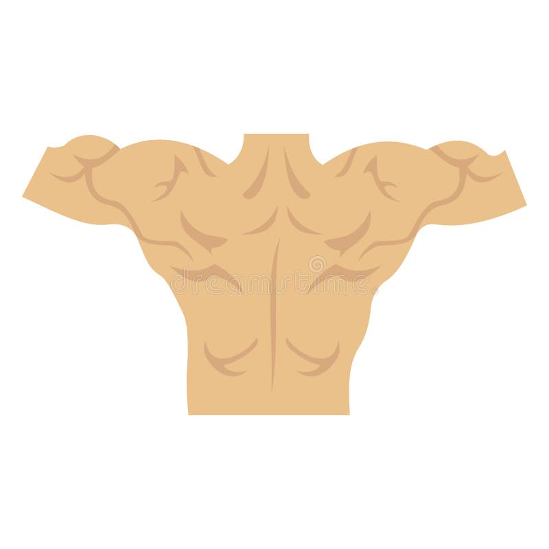 Basic RGB Anatomy, Back Vector Illustration Icon Which Can Easily ...