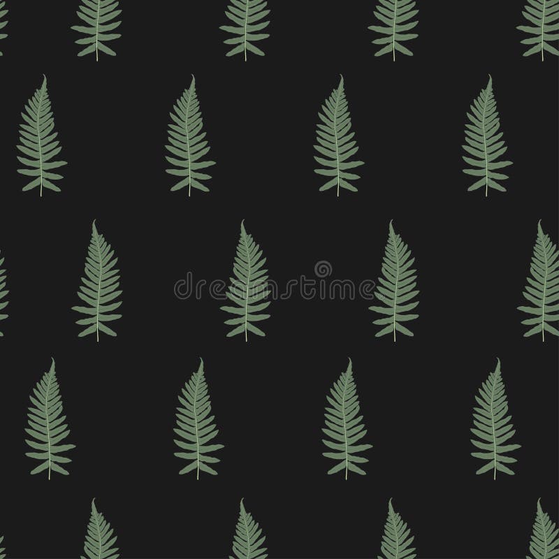 Fern, Tropical Forest Plant Leaves Seamless Illustration. Simple Herbal ...