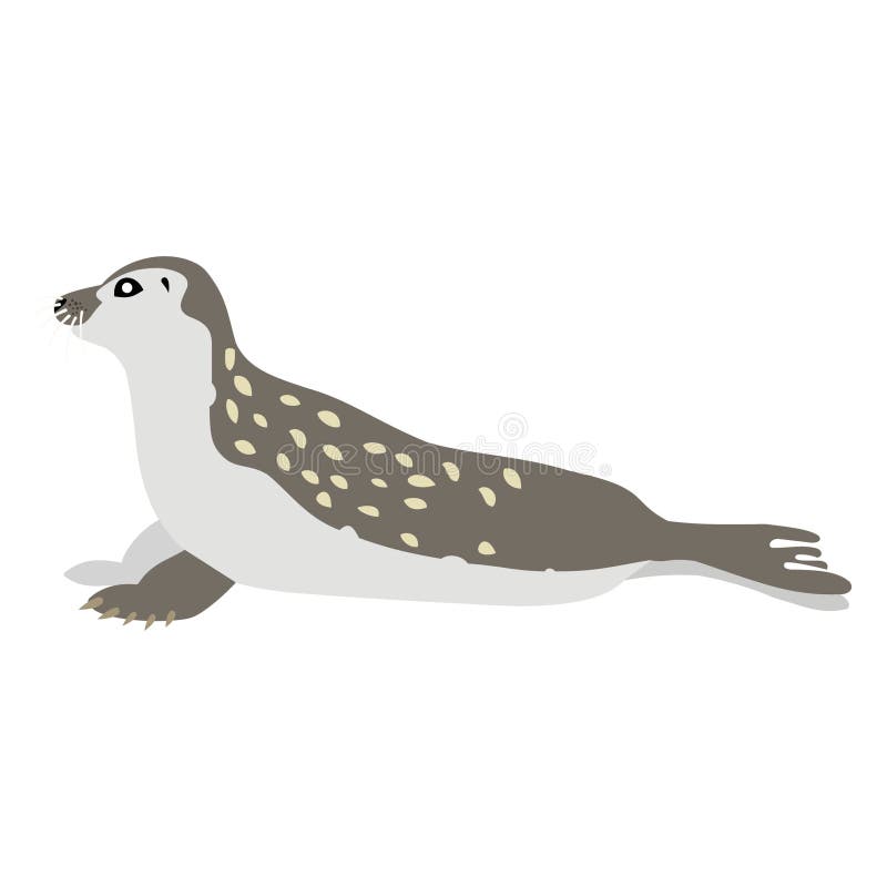 Animal, Common Seal Color Vector Icon Which Can Be Easily Modified or ...