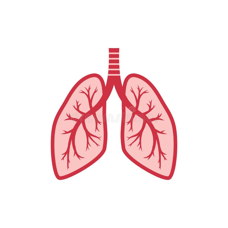 Cartoon Human Lungs Stock Illustrations – 5,024 Cartoon Human Lungs ...