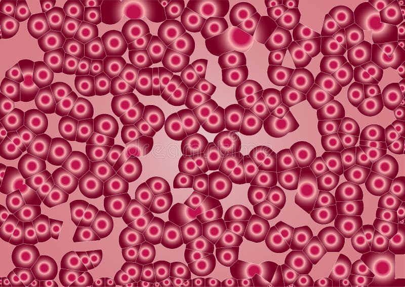 Abstract Red Gradient Cell Shape Pattern. Microscope View of Blood Cell ...