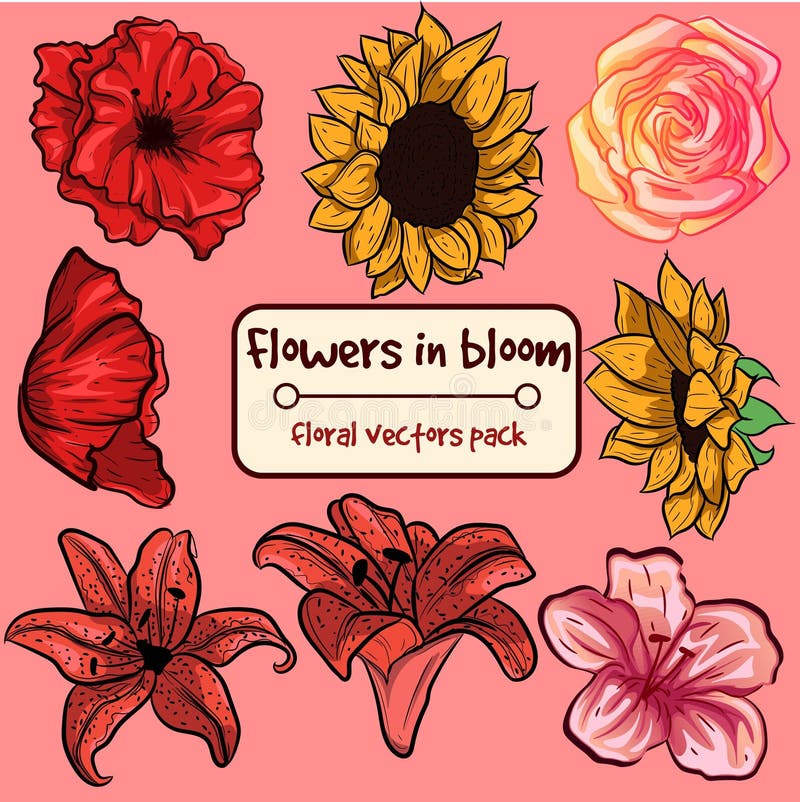 Flowers in Bloom - Small Collection Pack. Ornamental Isolated Vectors ...